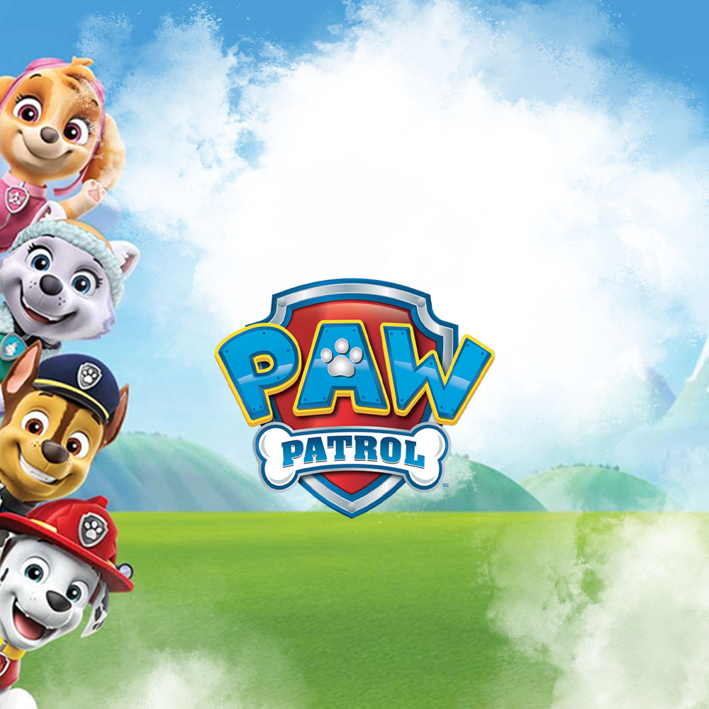 Paw Patrol leker | Klikk, bestill og hent hos Ringo Leker